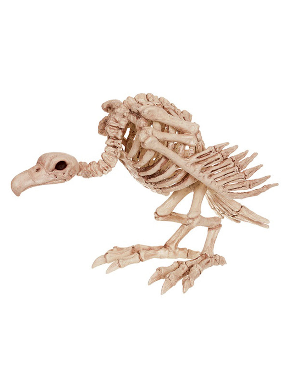 Skeleton Vulture Prop — Costume Super Center