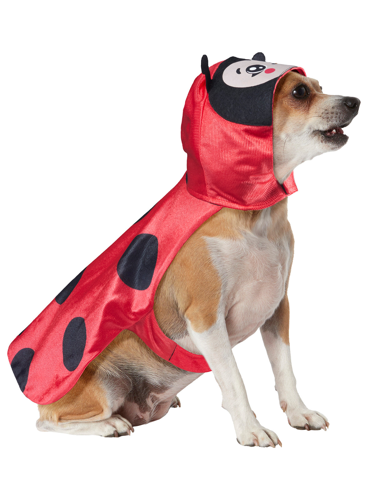 Ladybug Pet Costume — Costume Super Center