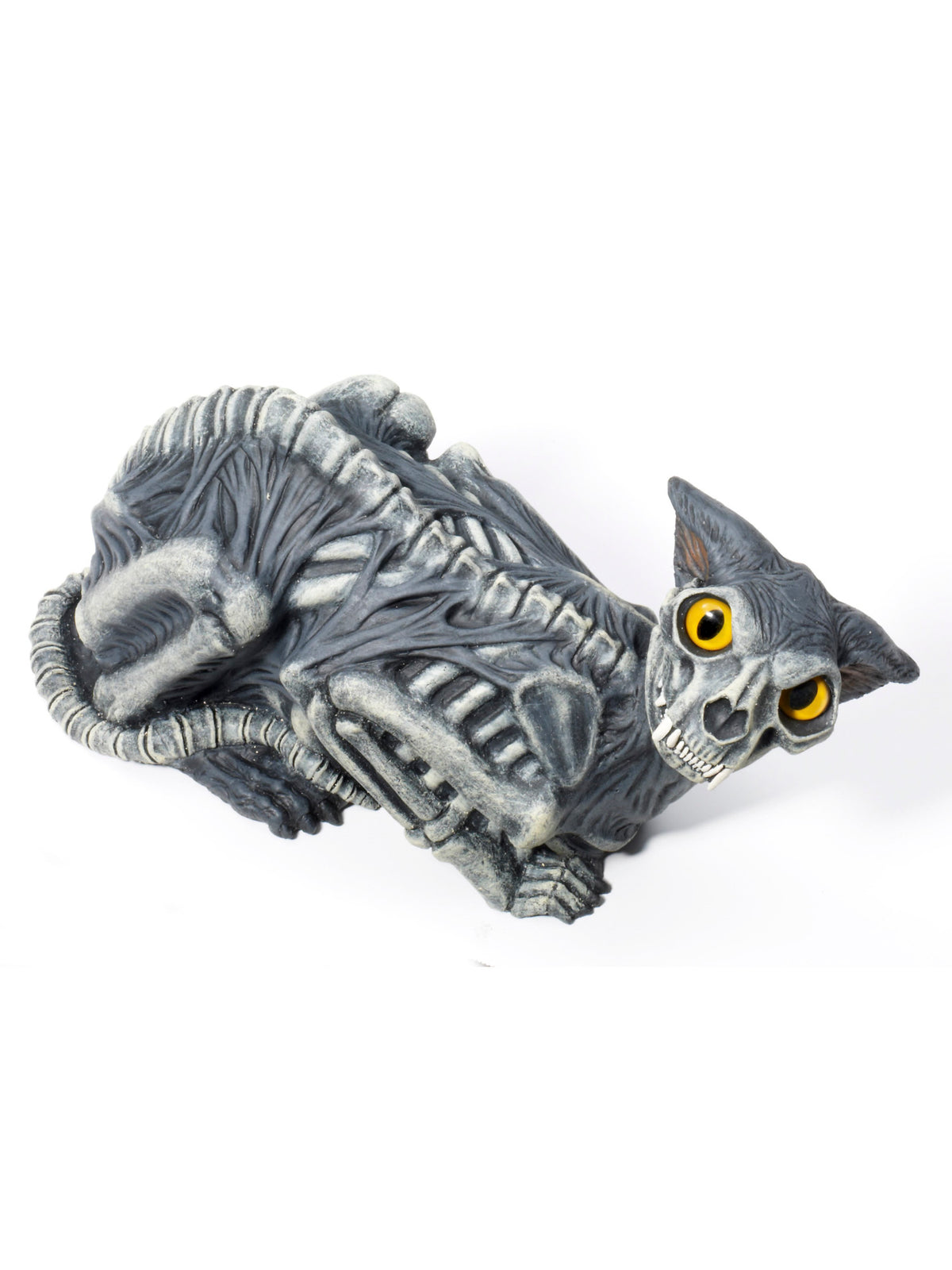 Zombie Cat Prop — Costume Super Center