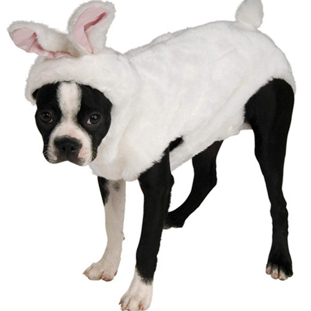 Bunny Pet Costume — Costume Super Center