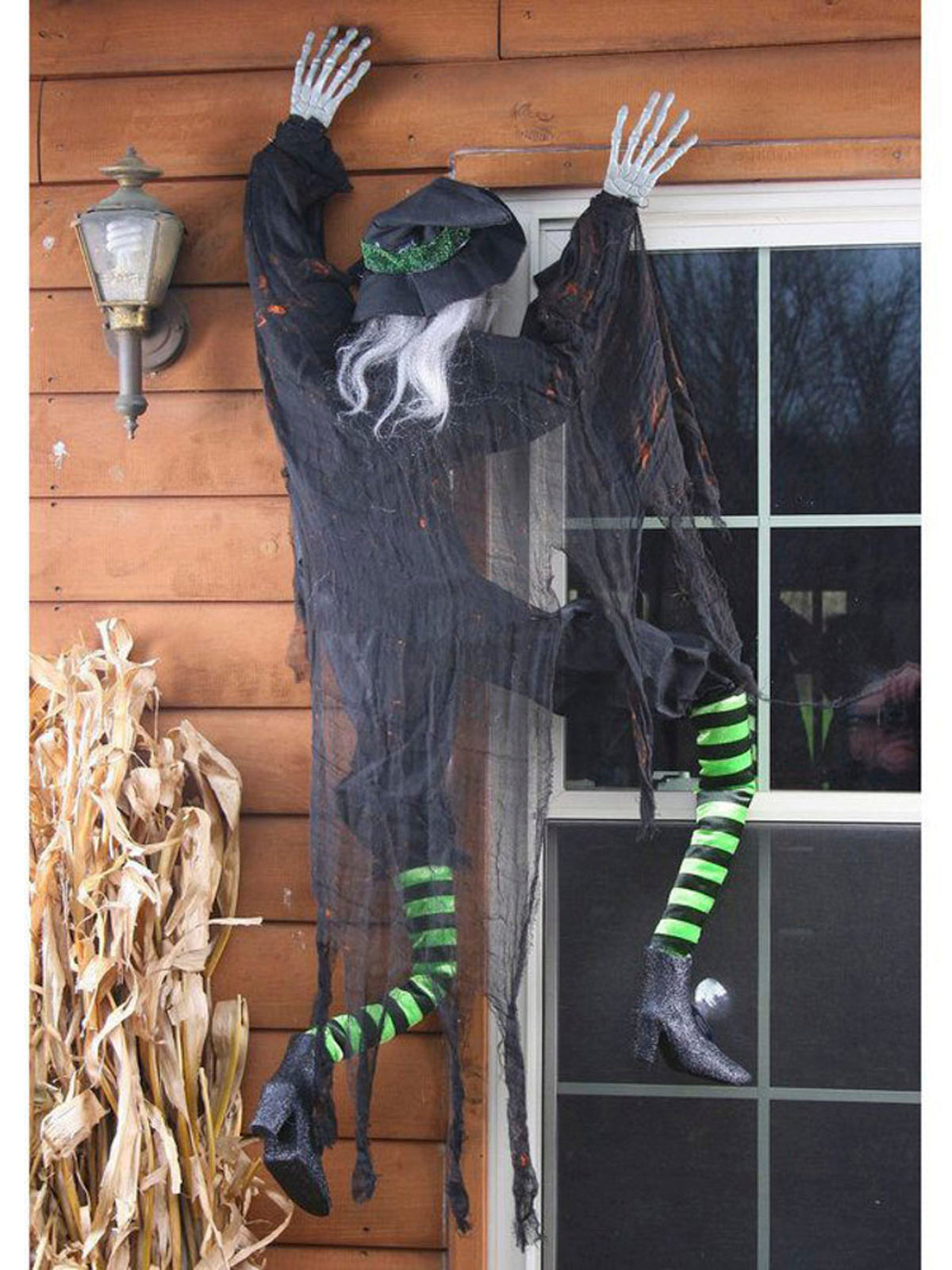 Climbing Witch — Costume Super Center