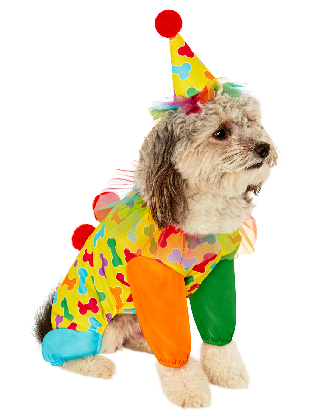 Circus Clown Pet Costume — Costume Super Center