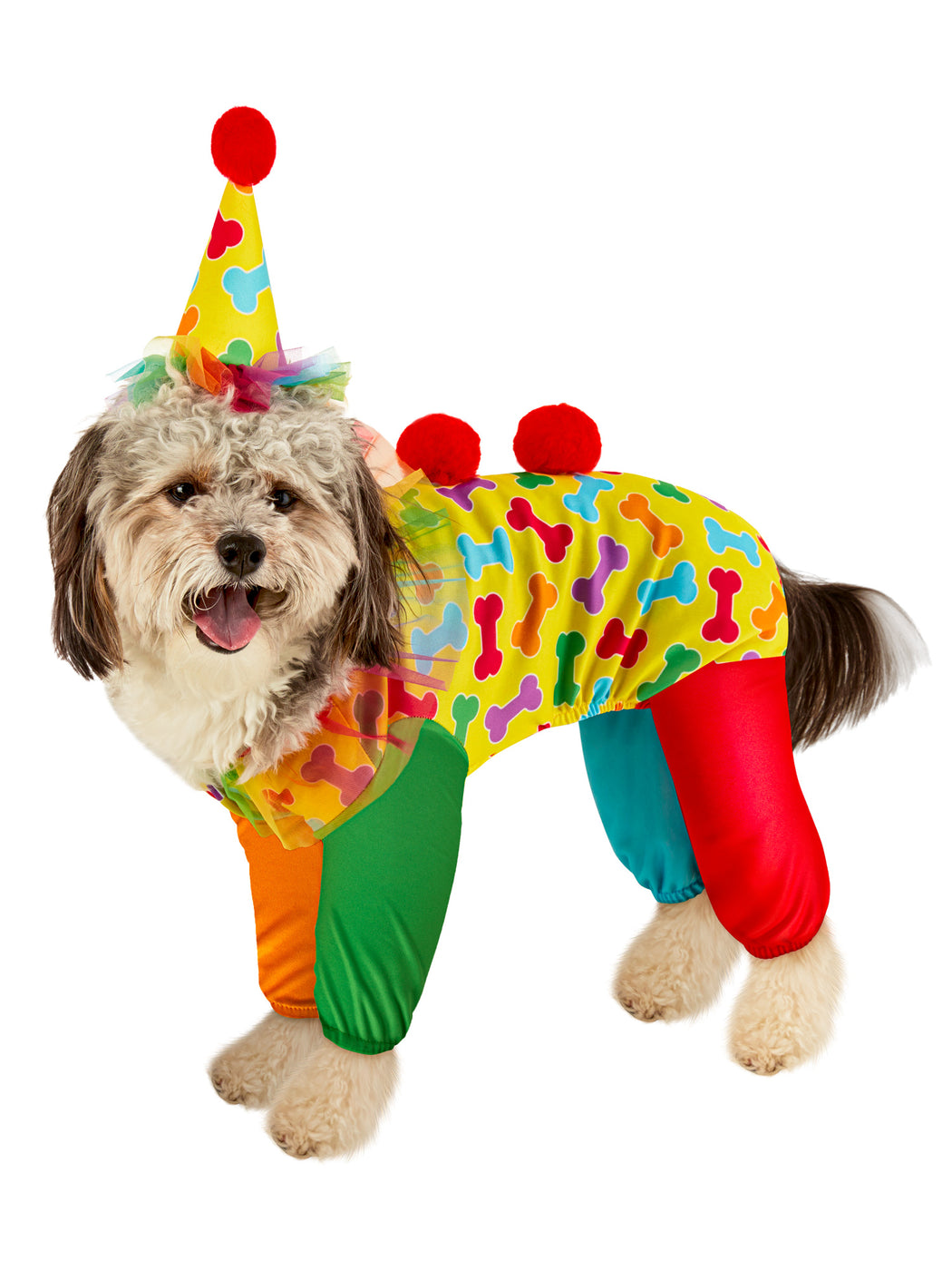 Circus Clown Pet Costume — Costume Super Center
