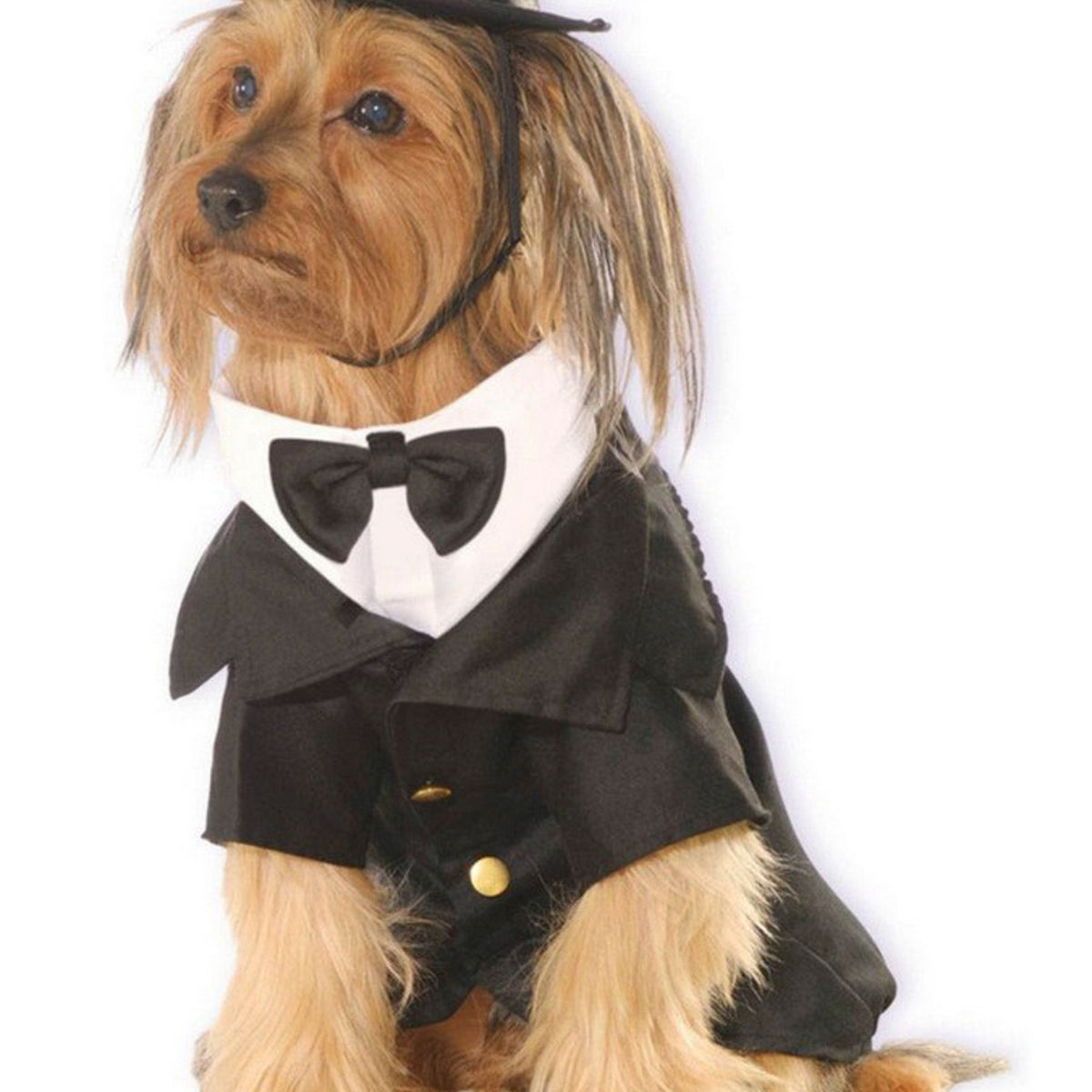Dapper Dog Costume — Costume Super Center