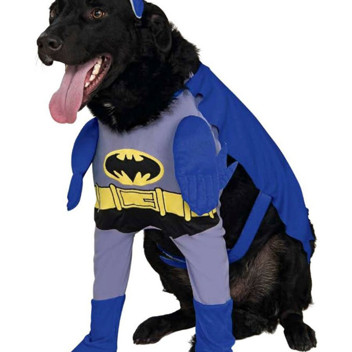 Batman Pet Costume — Costume Super Center